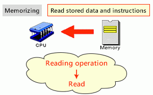 Memory (Storage) | 臺灣東芝電子零組件股份有限公司 | 台灣